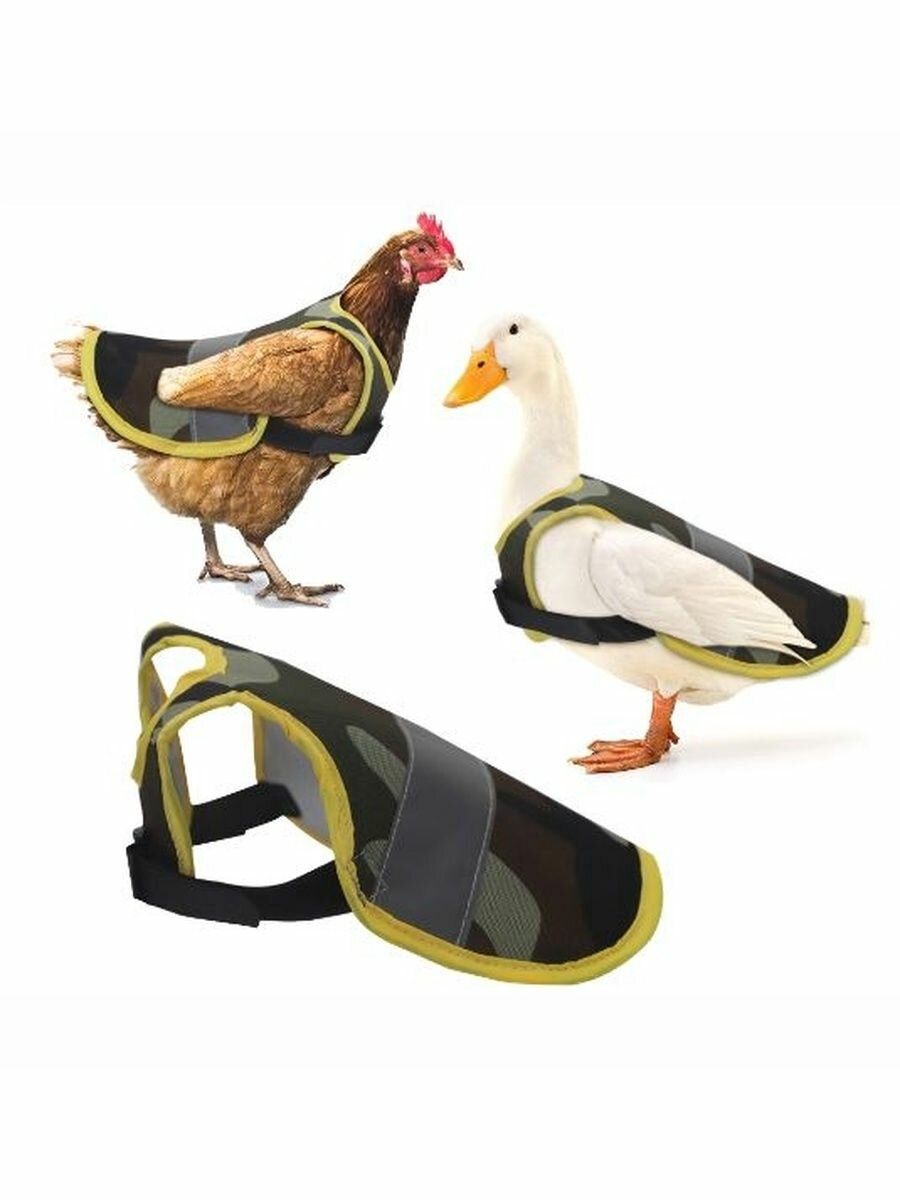 Жилет курицы или утки.