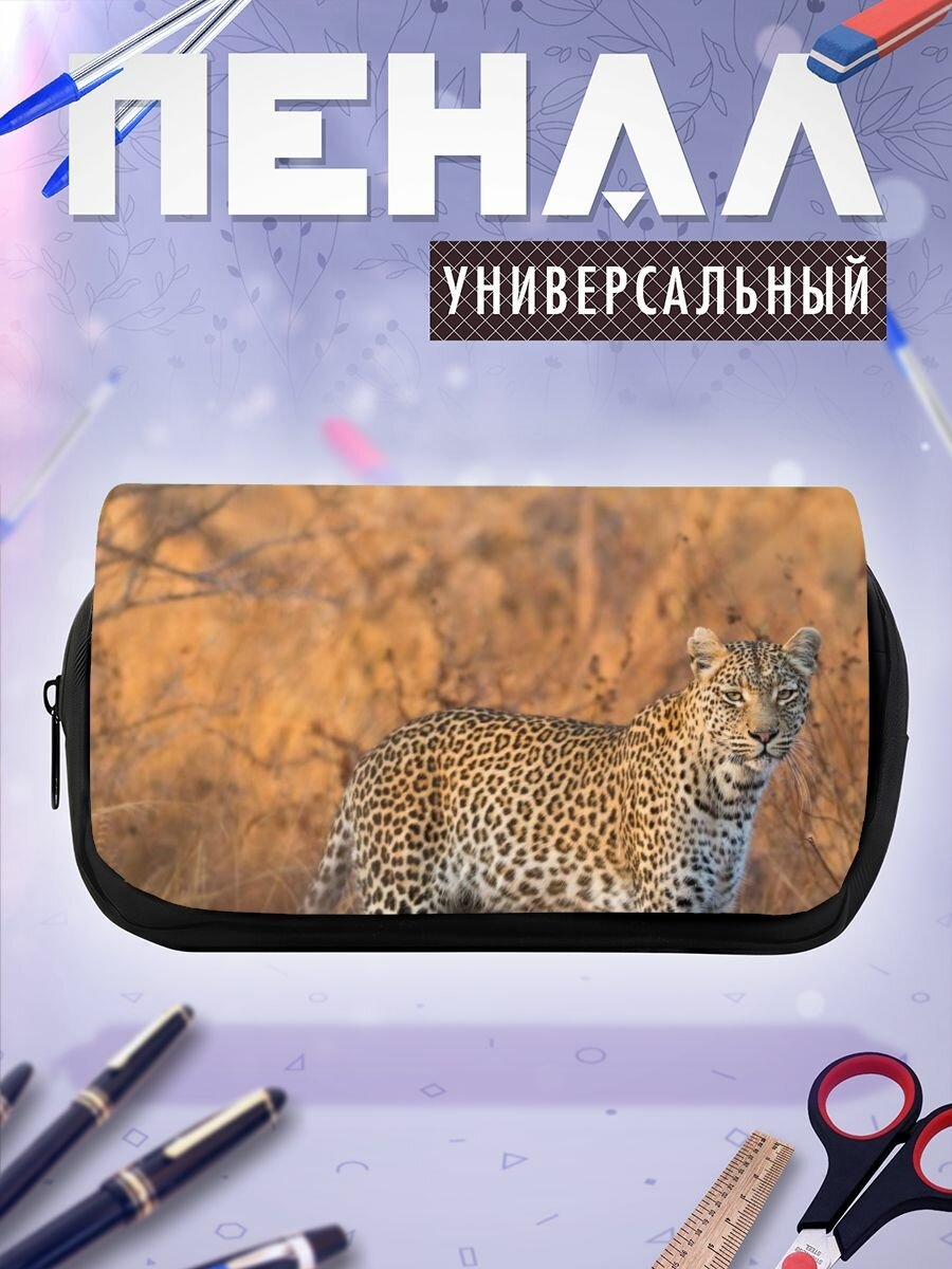 Школьный пенал Леопард Ягуар