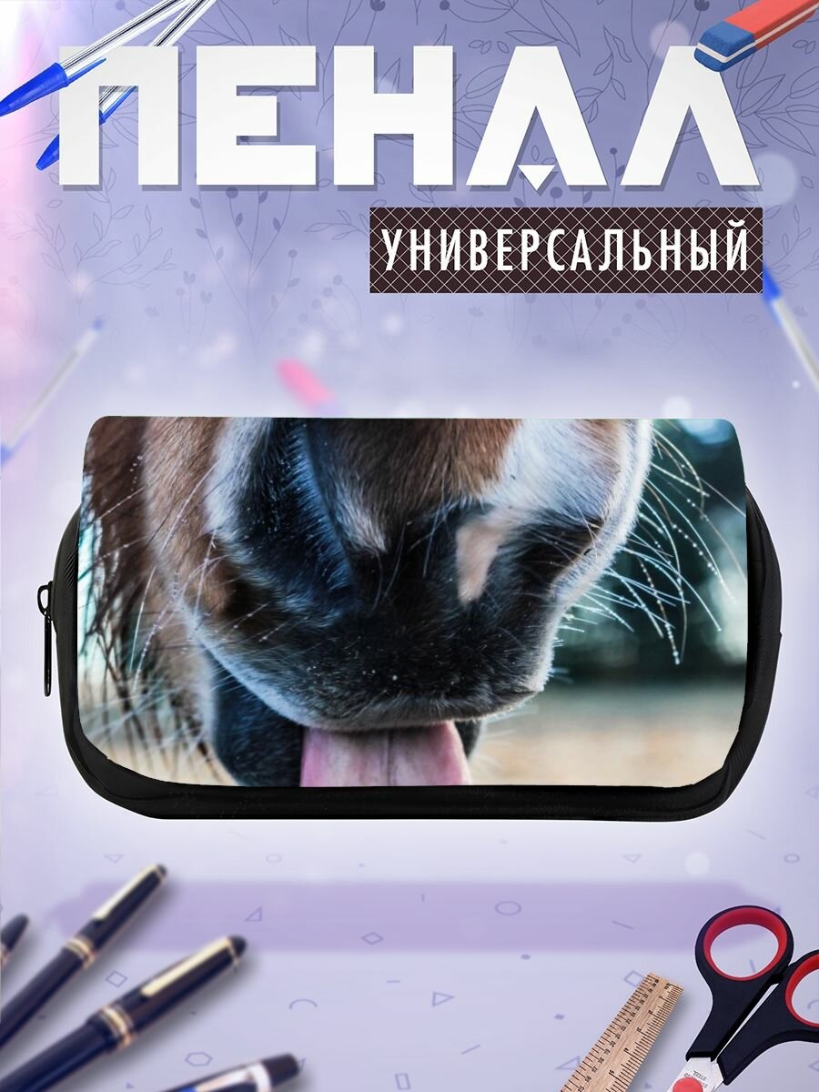 Школьный пенал конь пони