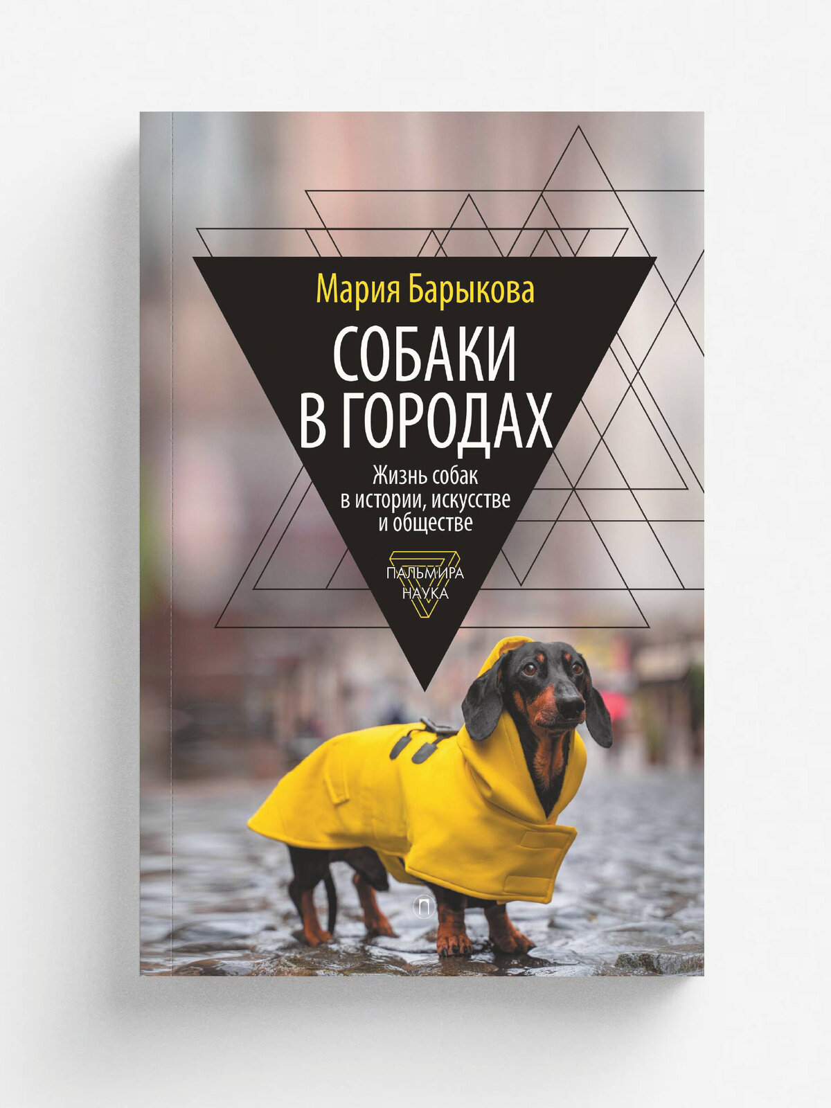 Собаки в городах