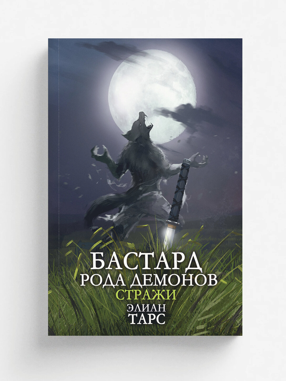 Бастард рода демонов-2. Стражи