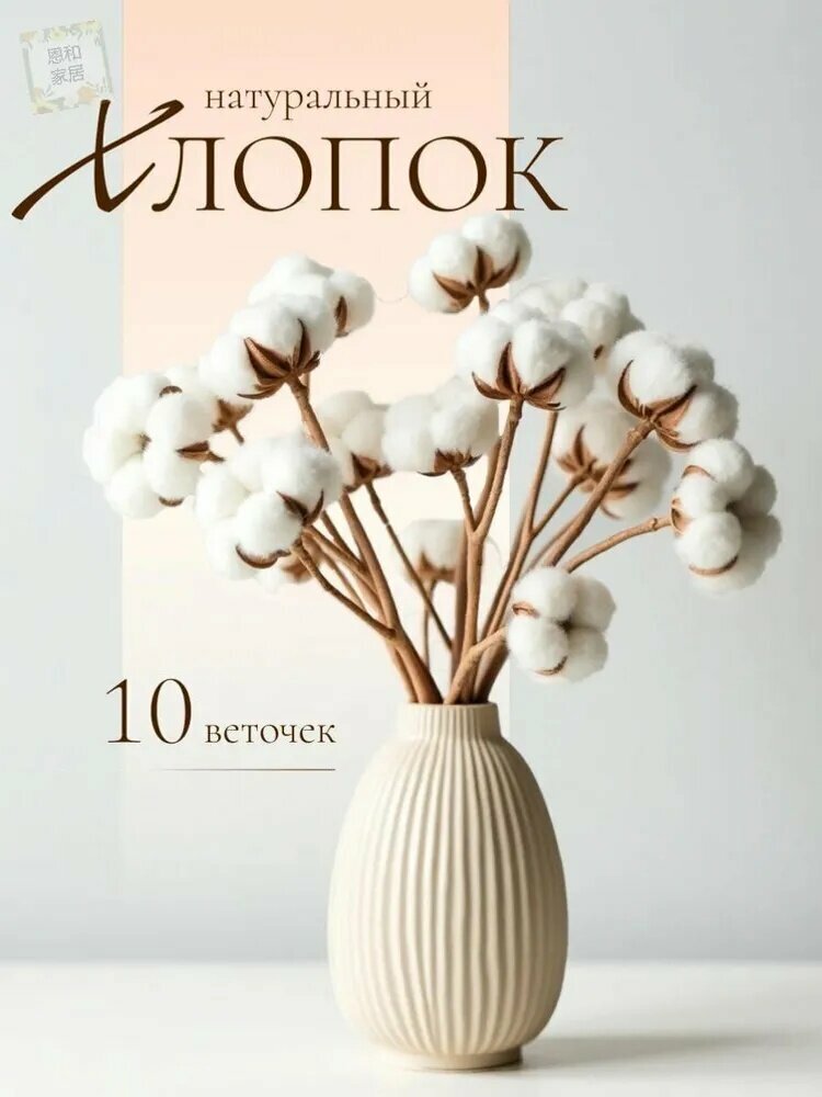 Сухоцветы Хлопок, 100 гр, 1 шт