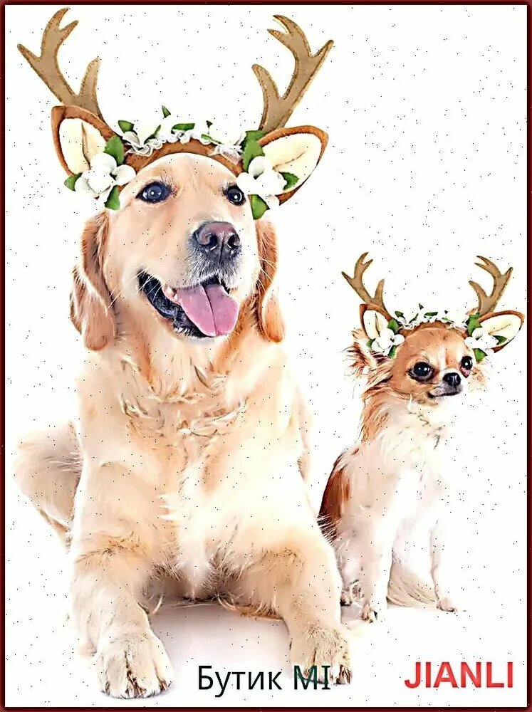 Оленьи рога для собак и кошек, головной убор коричневый