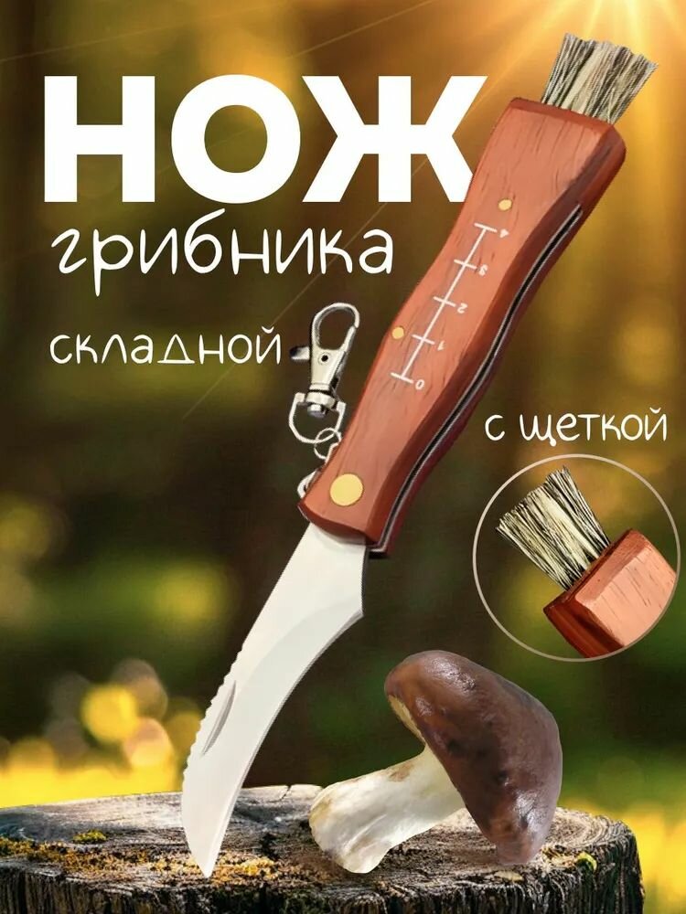 Складной нож грибника с щеткой, коричневый MD