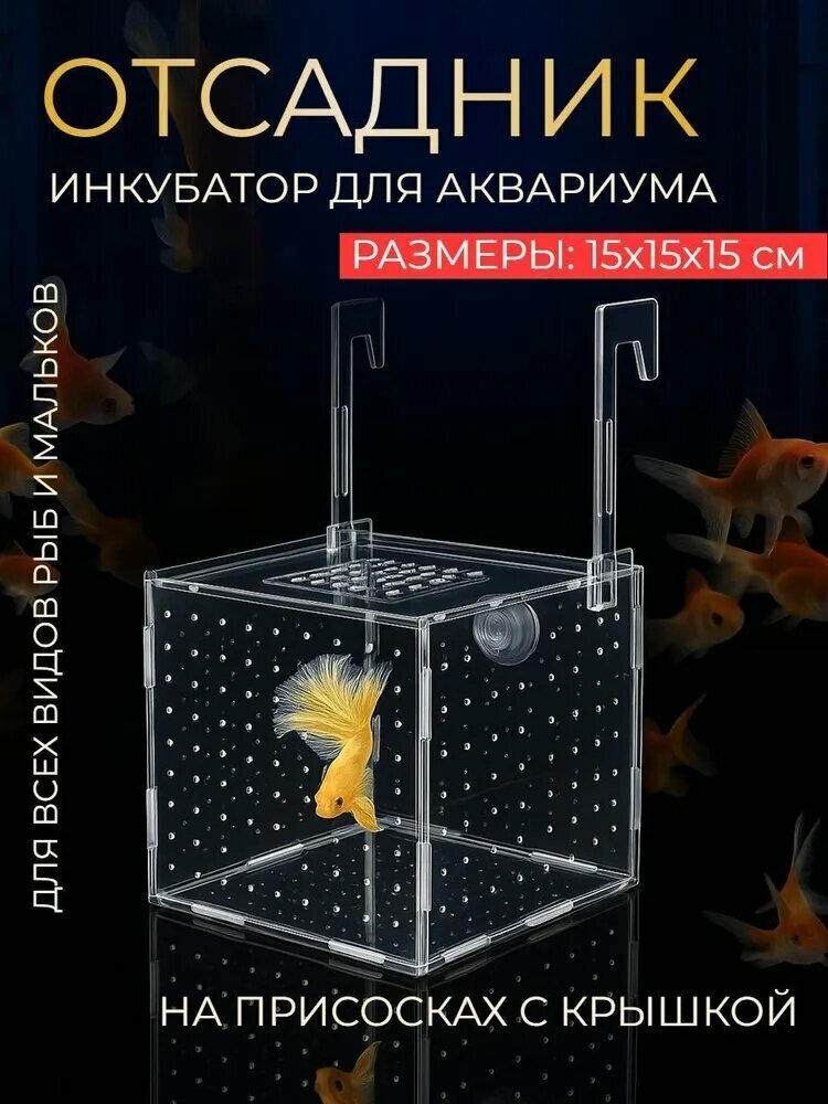 Отсадник для рыб инкубатор для мальков в аквариум 15х15х15 см
