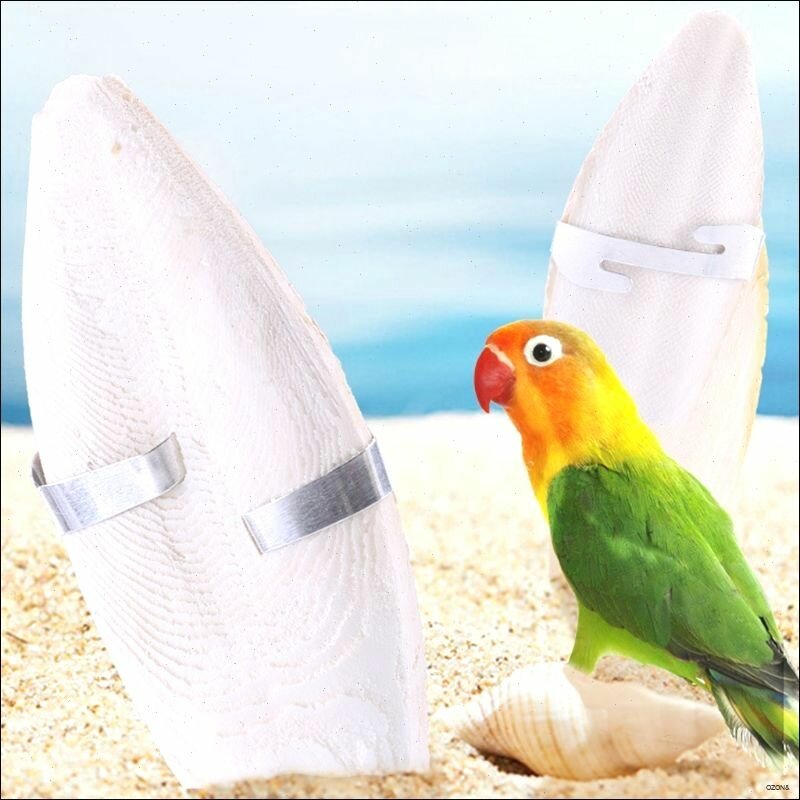 Птичья каракатица для попугаев, кость глубоководной каракатицы с металлическим держателем