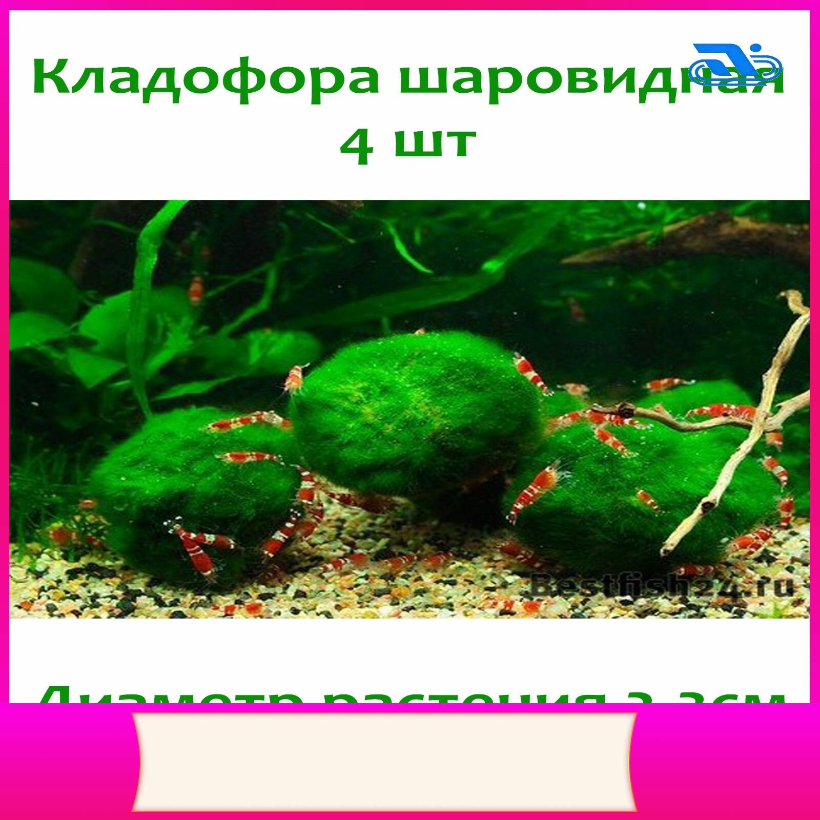 Эксклюзивный декор для аквариума и террариума