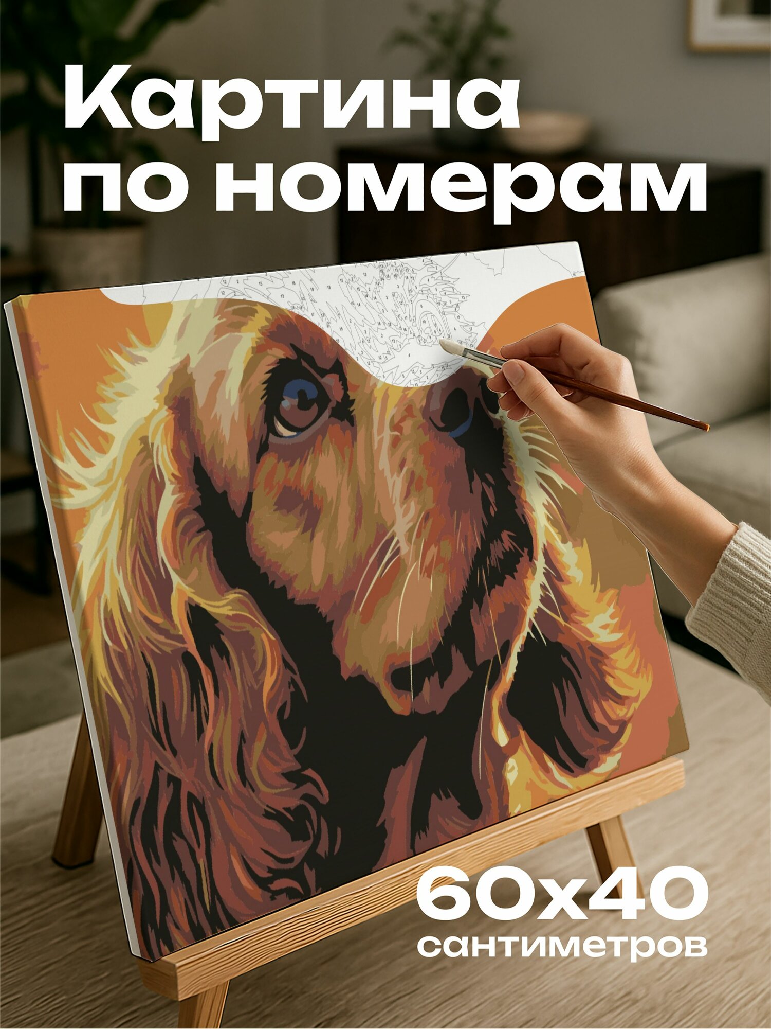 Картина по номерам 60x40 см, картина, масляная, кокер-спаниель, шерсть, глаза, солнце, грация, красота, реализм, детали