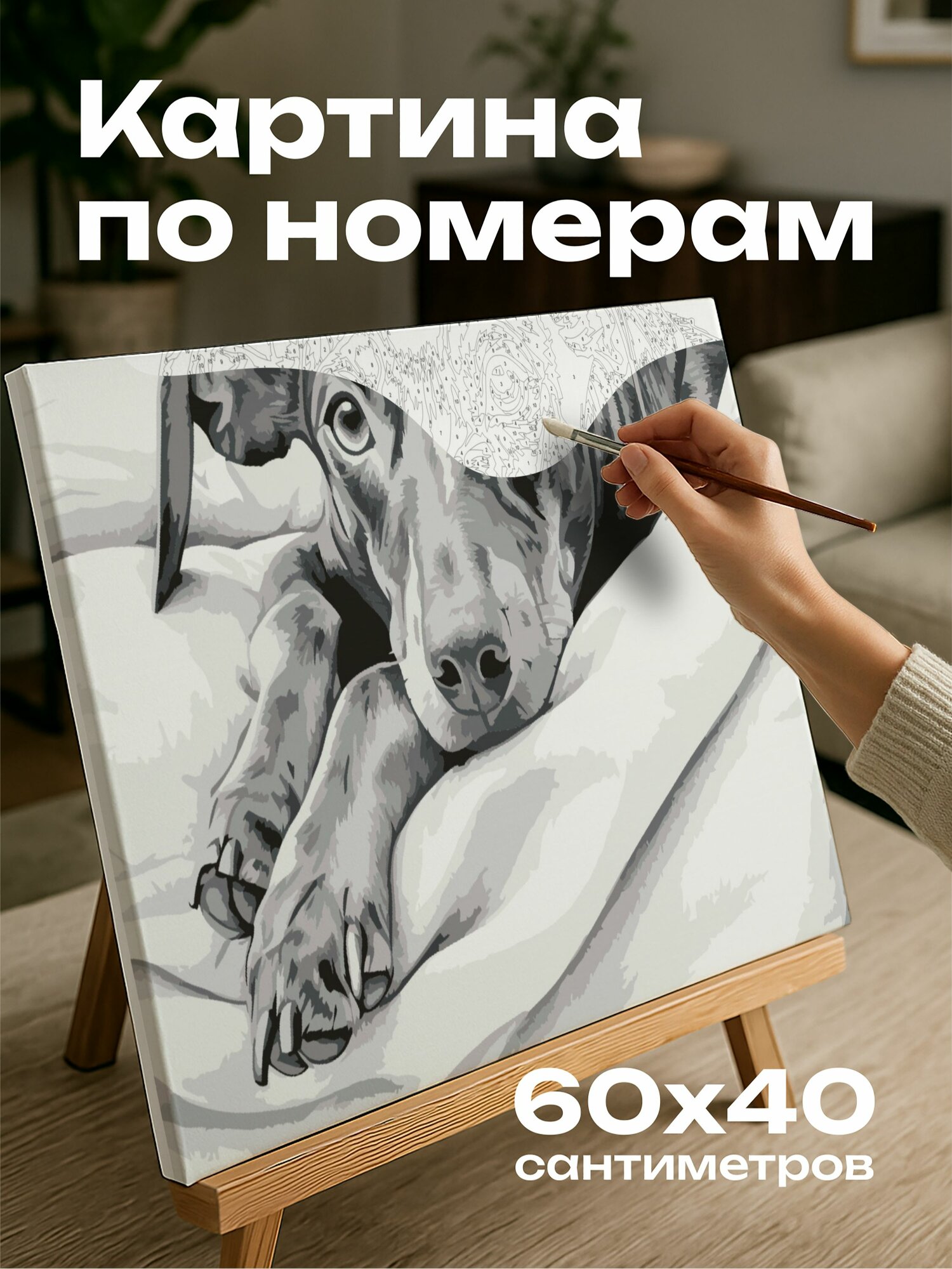 Картина по номерам 60x40 см, доберман, пинчер, калачик, собачья лежанка, голова на лапах, спокойный, нежный