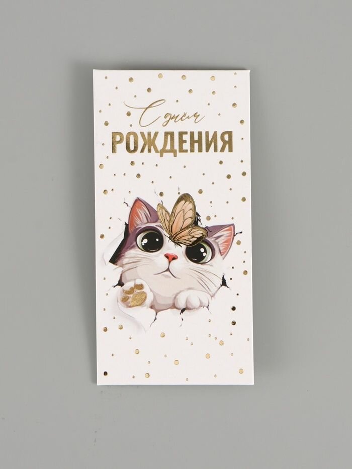 Конверт для денег Котик , тиснение, 16.5 8 см