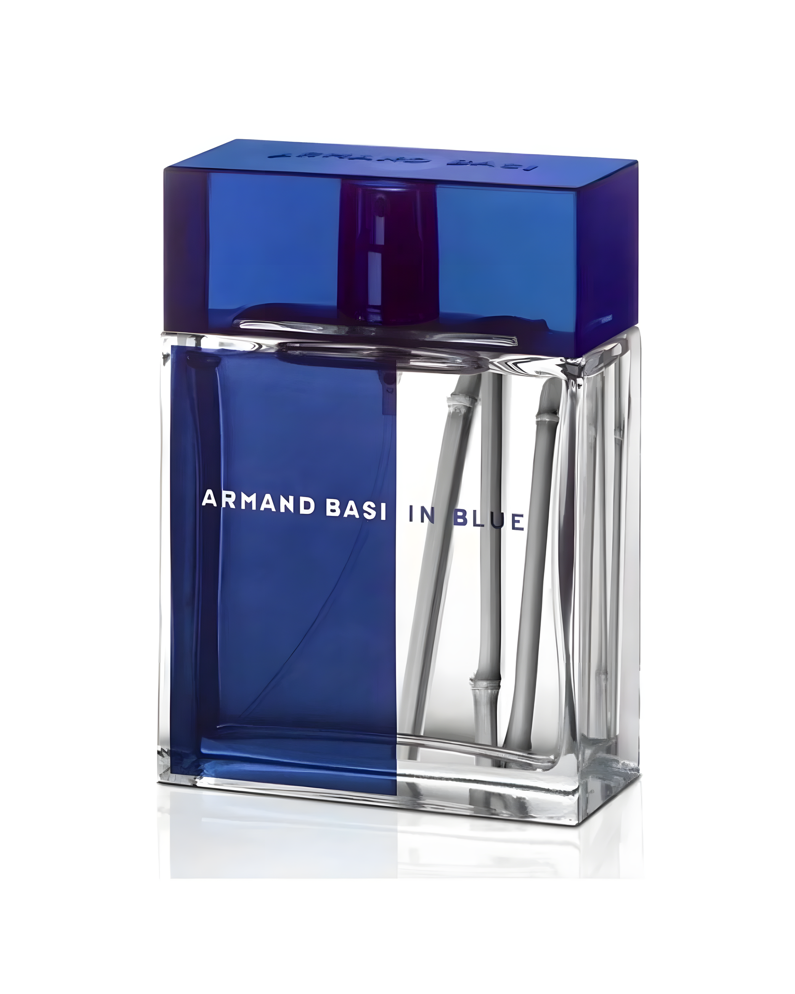 Туалетная вода Armand Basi in Blue Pour Homme, мужская, древесно-пряная, 50 мл