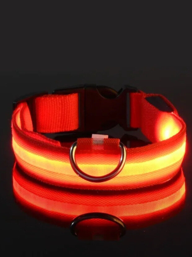Светящийся LED ошейник для собак и кошек, размер M, цвет красный