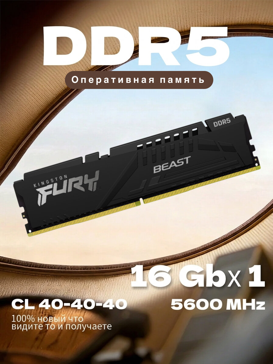 Память Kingston FURY Beast Black (16ГБ * 1 Шт.) DDR5 5600МГц CL40 DIMM (KF556C40BB-16)