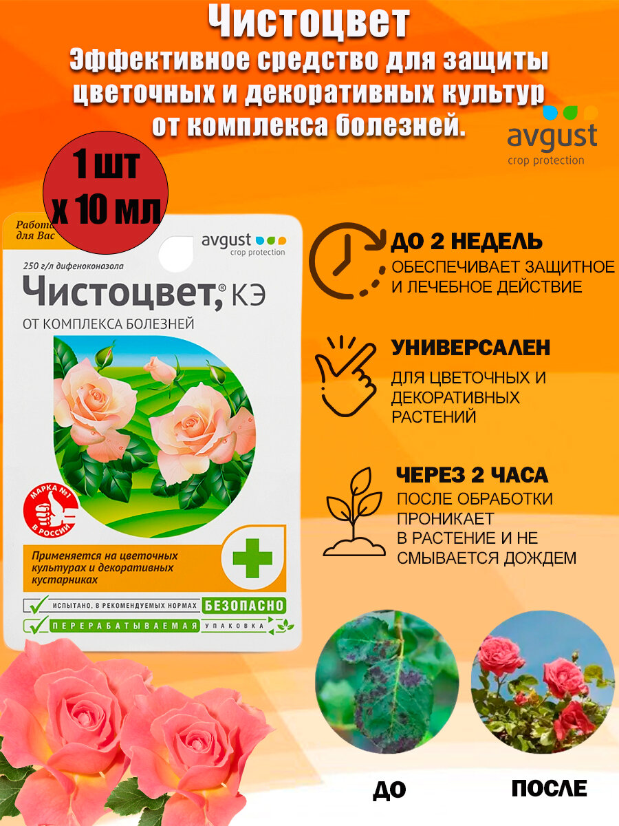 Средство для защиты цветочных и декоративных культур от комплекса болезней Чистоцвет, 10 мл