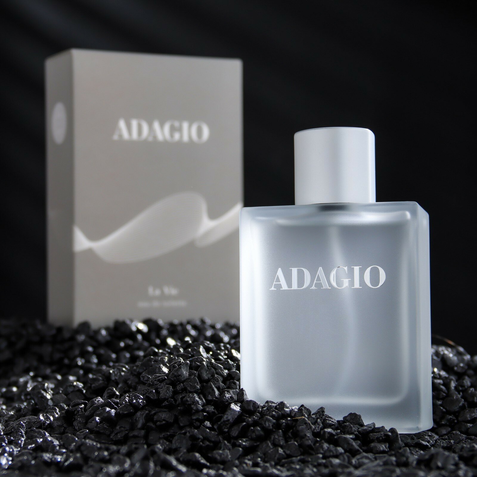 DILIS Туалетная вода мужская La Vie Adagio men 100 мл, фужерный аромат