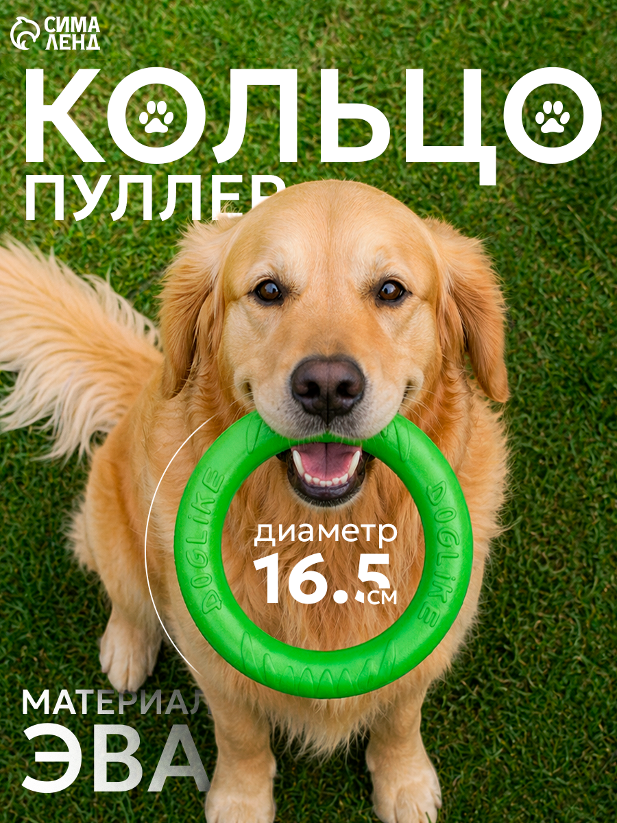 Кольцо "ДогЛайк" D-5195, 8-мигранное, миниатюрное, ⌀ 16,5 см , зелёное