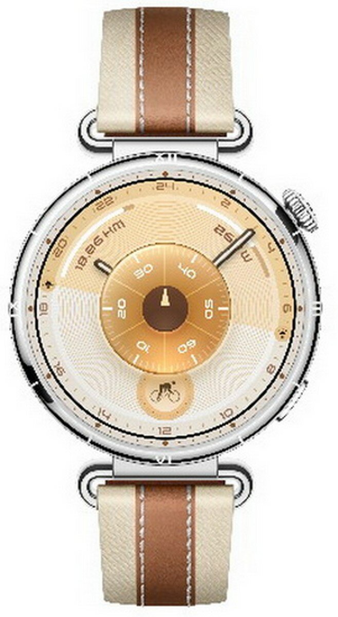 Умные часы Huawei WATCH GT 6 (55020FVX) коричневый