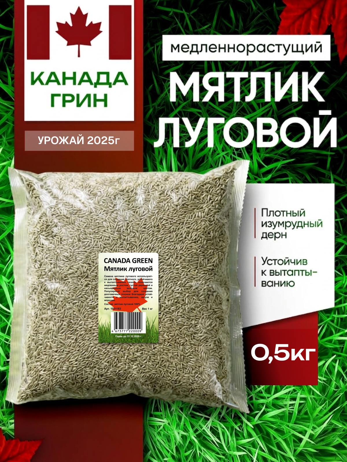 Мятлик луговой семена 100% Canada Green, 0,5 кг