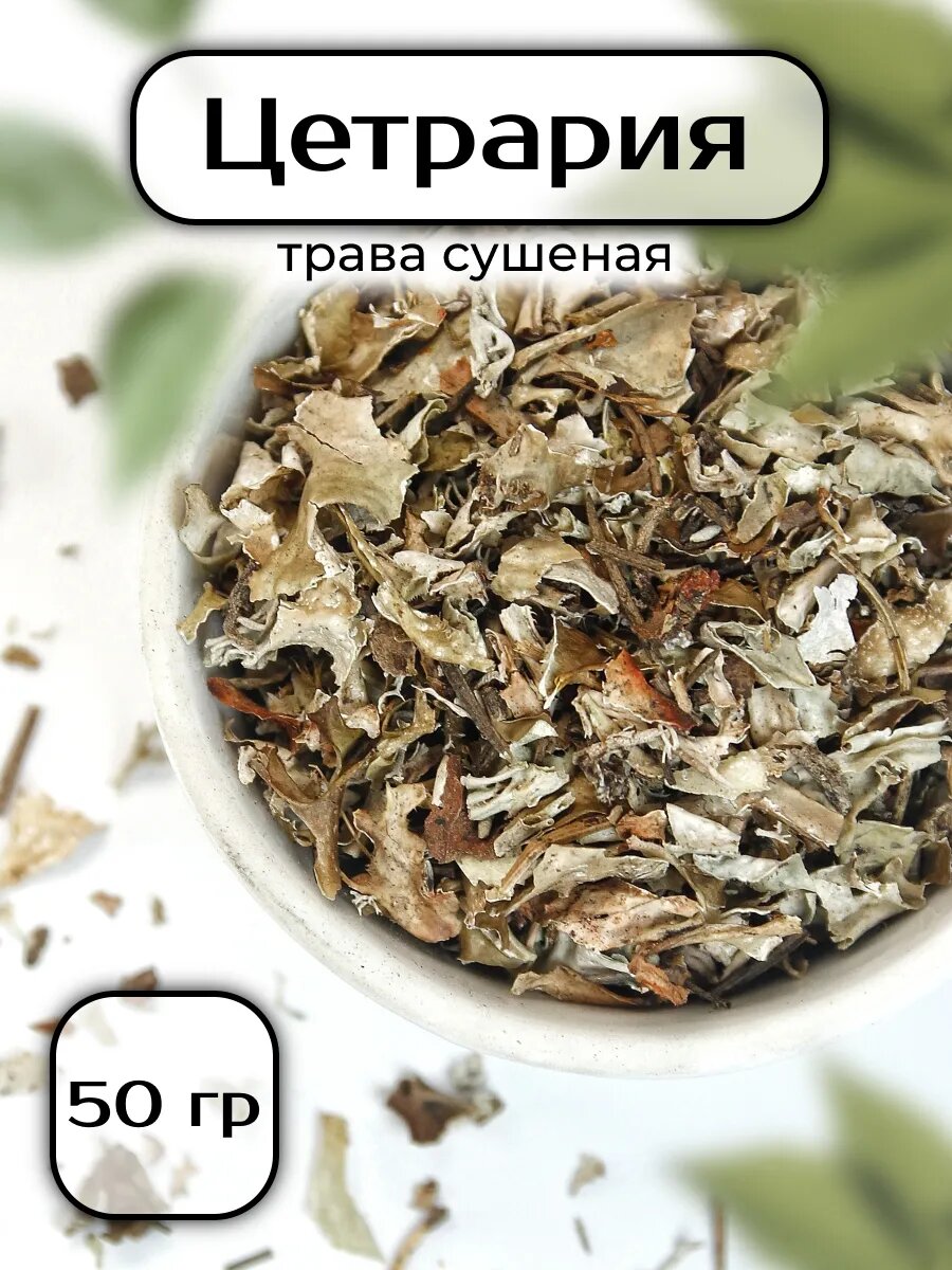 Исландский мох (Цетрария), 50 гр - сушеная трава, фиточай