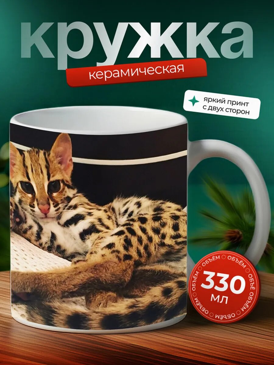 Кружка Африканский леопардовый кот 40,