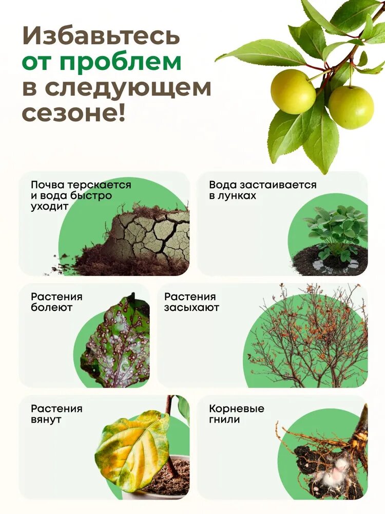 Удобрение для рассады Цимус + универсальное Аминоцимус + почвоулучшитель, 750 гр +1 л +500 мл