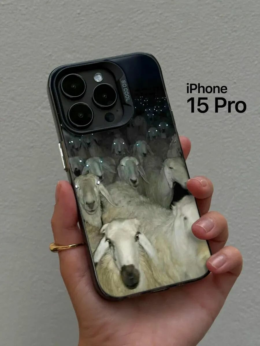 Чехол на Iphone 15 Pro мем