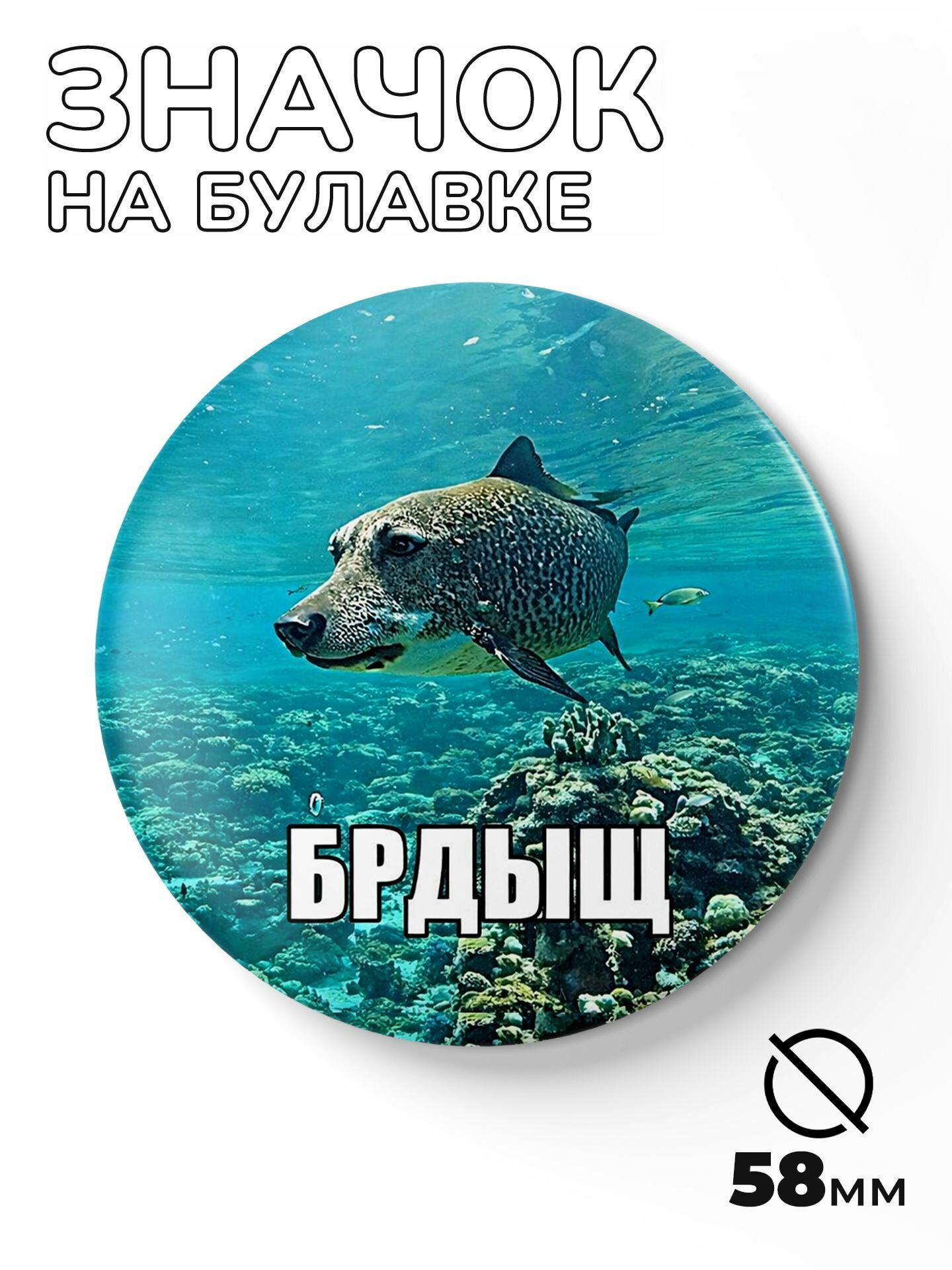 Значок ТИТЛЪ