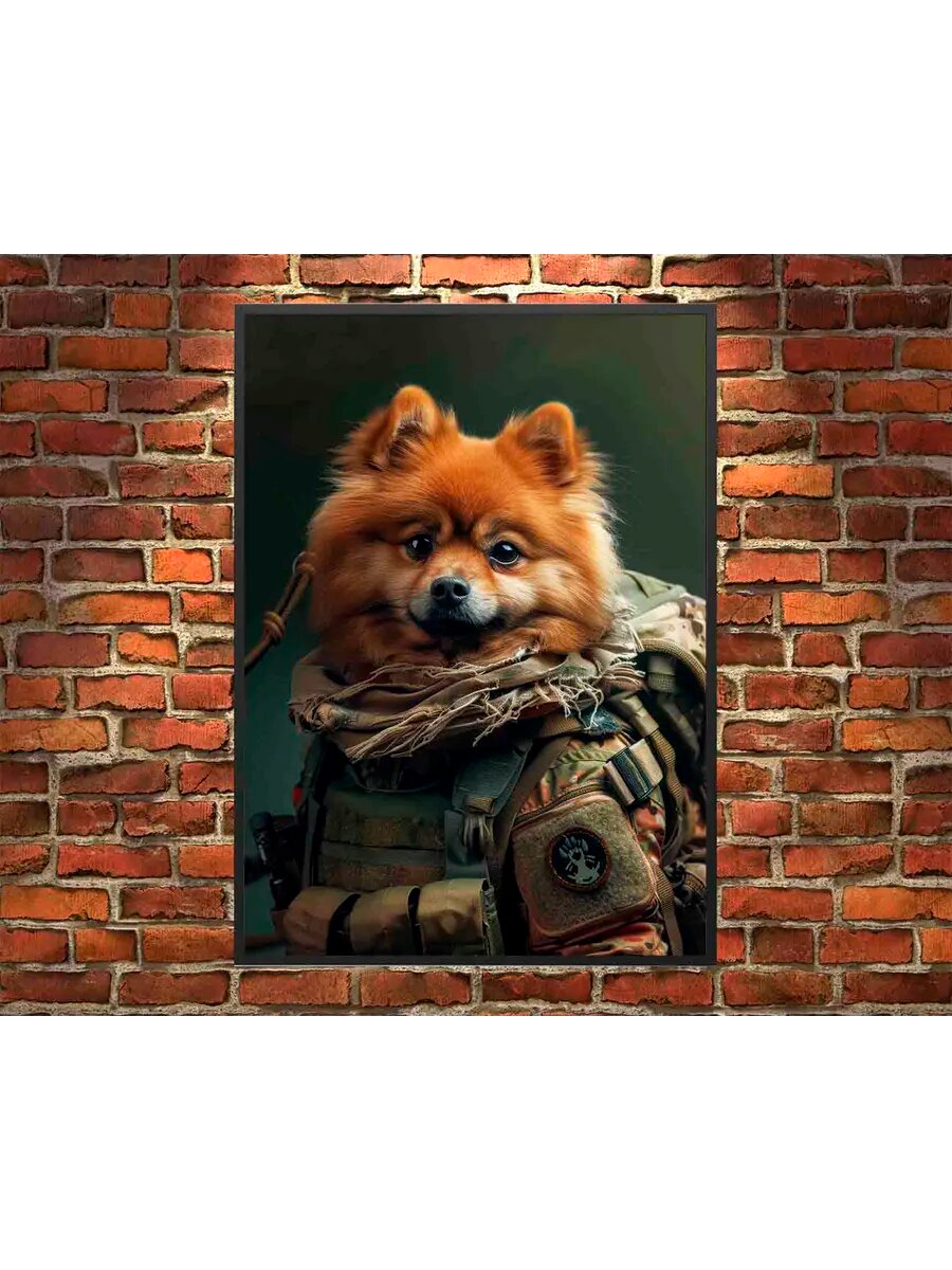 Померанский шпиц-пес-солдат 4, Плакат 30x42см