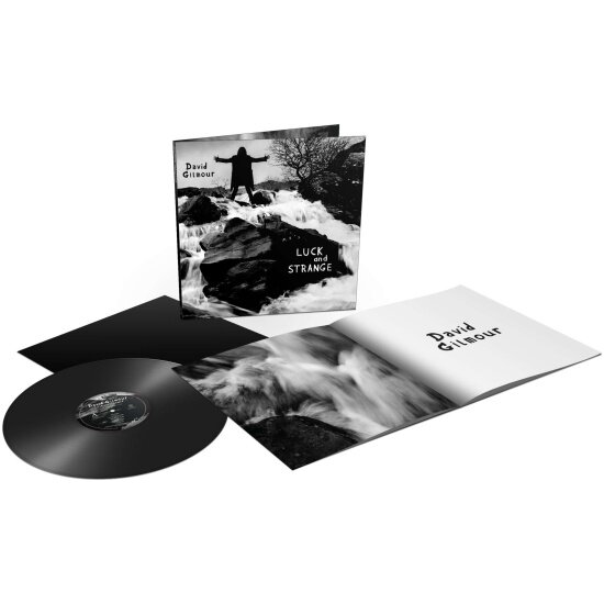 Виниловая пластинка Sony Music David Gilmour - Luck And Strange