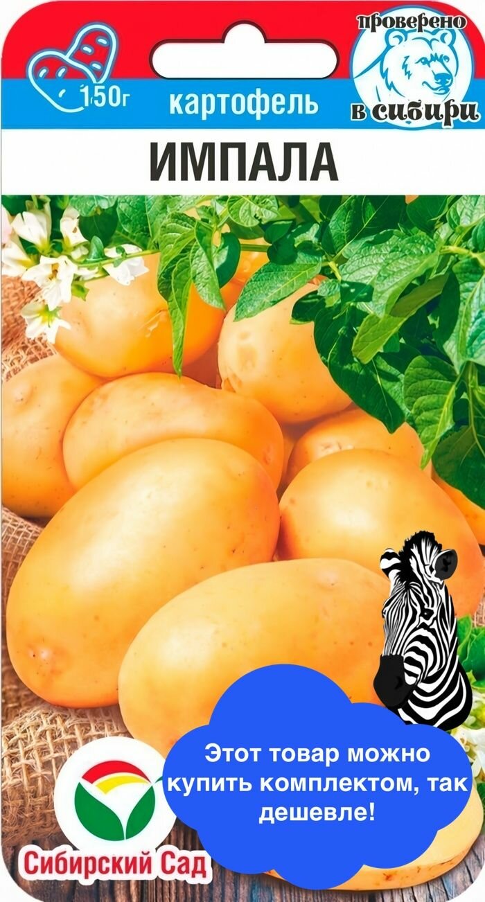 Картофель Импала Сибирский Сад