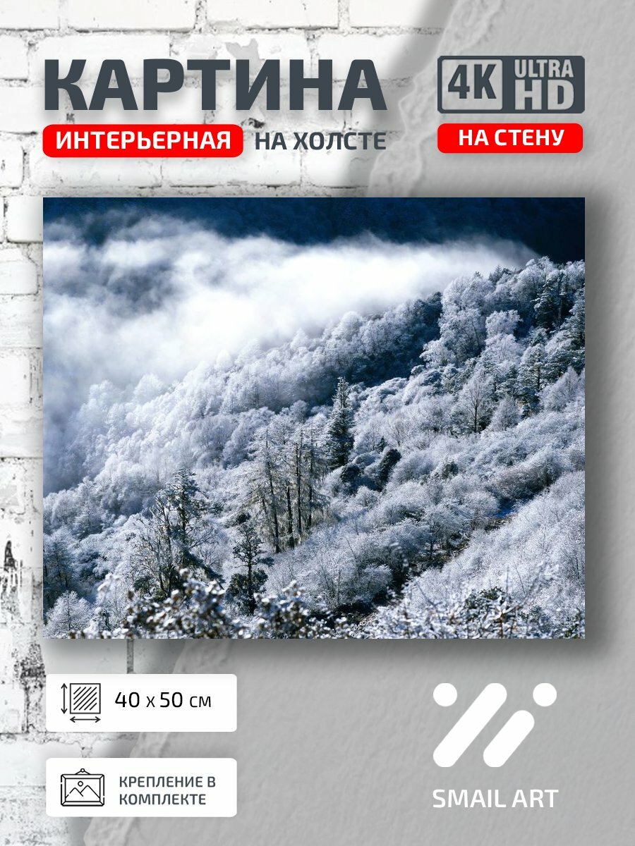 Картина на холсте интерьерная 40 на 50 на стену Зима Landscape для кабинета пейзаж интерьер