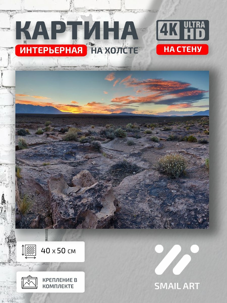 Картина на холсте интерьерная 40 на 50 на стену Калифорния Landscape для кафе пейзаж декор