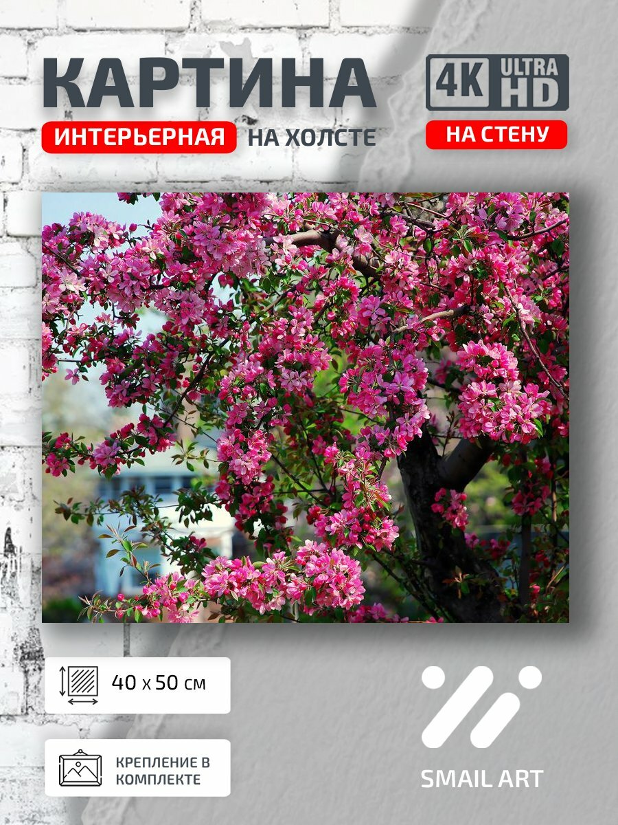 Картина на холсте интерьерная 40 на 50 на стену Розовая Landscape для офиса пейзаж интерьер