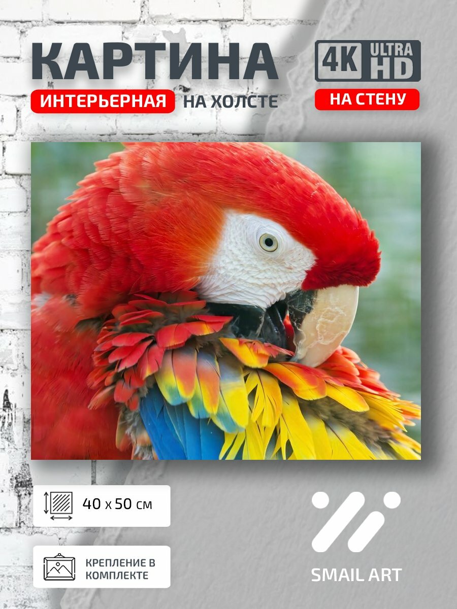 Картина на холсте интерьерная 40 на 50 на стену Красный Mood для офиса атмосфера интерьер