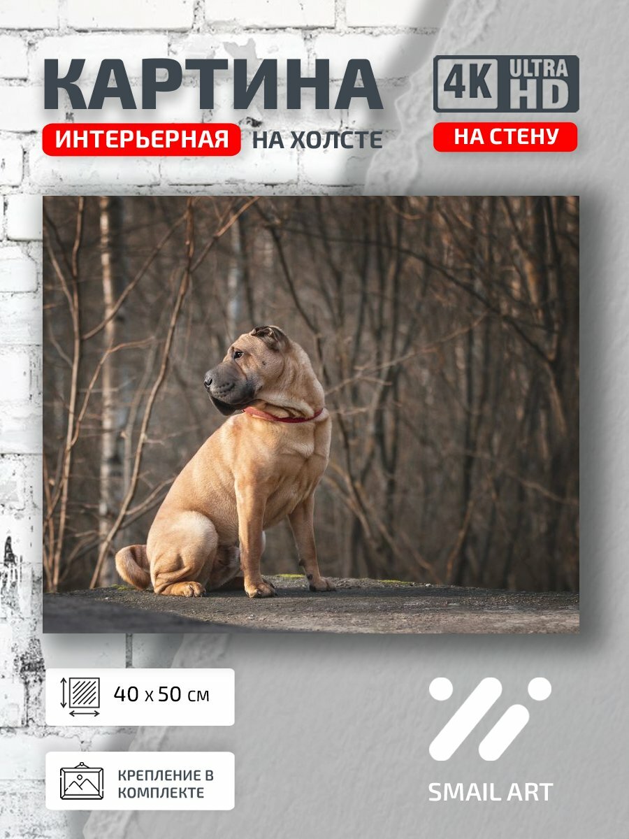 Картина на холсте интерьерная 40 на 50 на стену Пес Mood для студии атмосфера интерьер