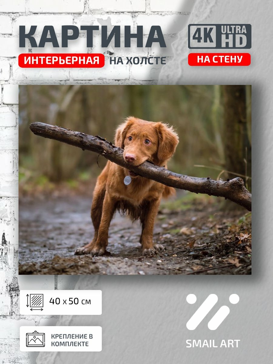 Картина на холсте интерьерная 40 на 50 на стену Пес Mood для офиса атмосфера интерьер декор