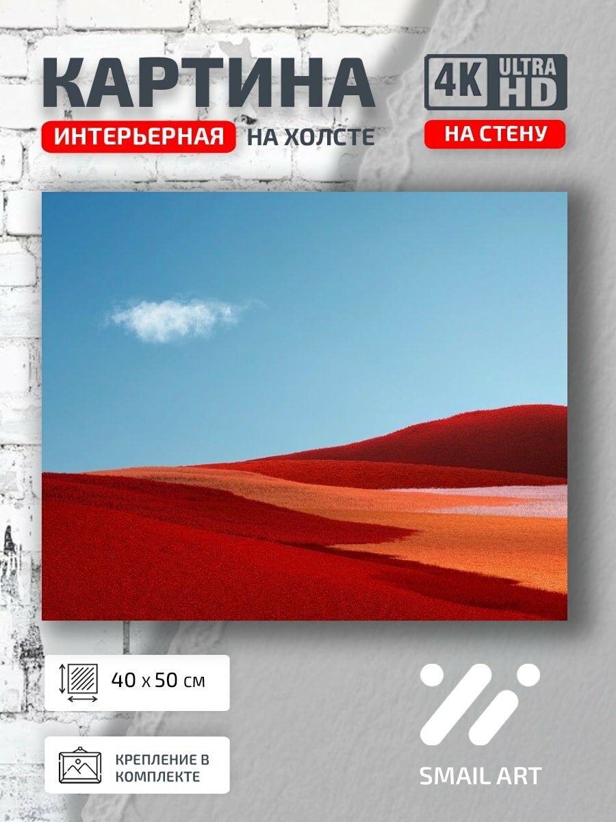Картина на холсте интерьерная 40 на 50 на стену красной травой для гостиной пейзаж