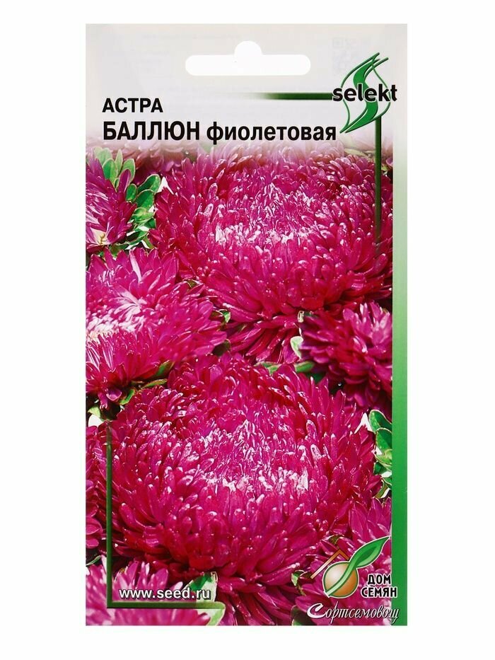 Семена цветов Астра Баллюн фиолетовая 30 шт