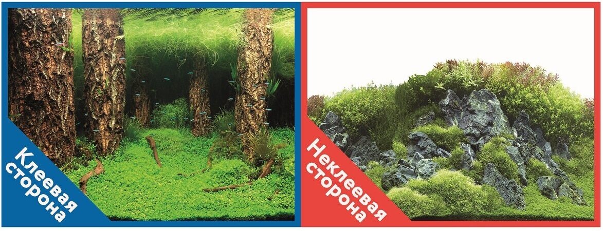 Фон двухсторонний с одной самоклеящейся стороной Затопленный лес/Камни с растениями 50x100см 9086/90