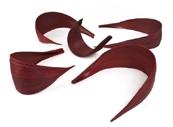 Сухоцвет коко боут галера средняя красная 25-30 см, 5 шт. в упаковке, для декора