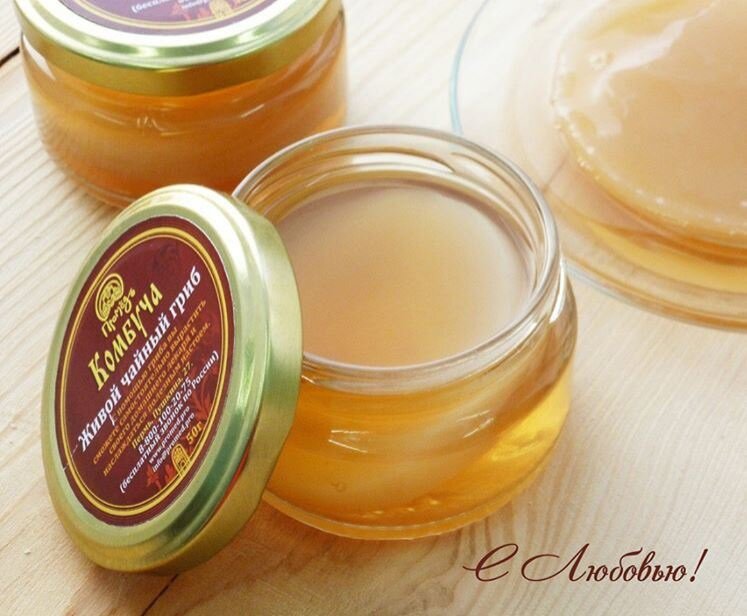 Чайный гриб Комбуча живой в растворе иван-чая и мёда 100 г, закваска для выращивания