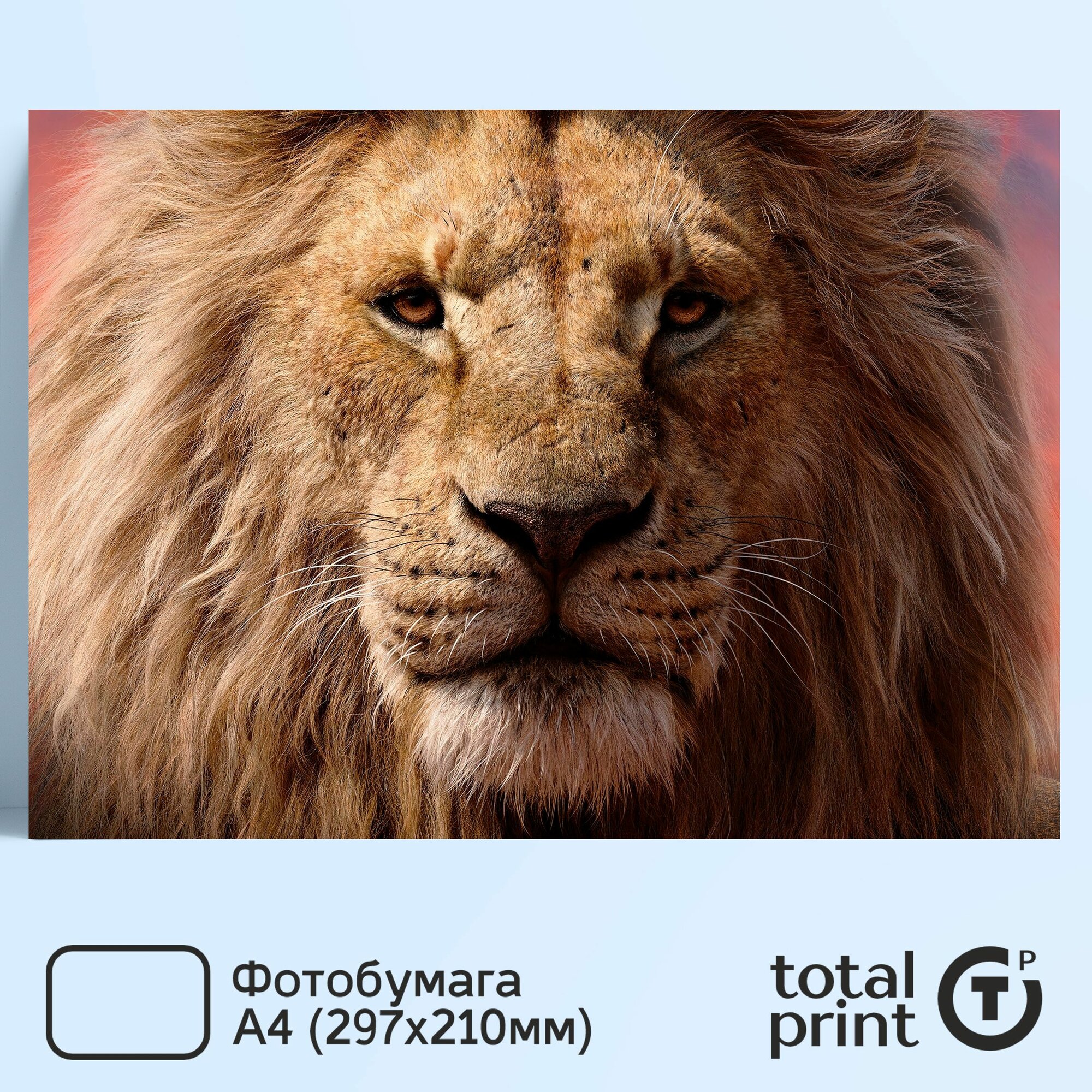 TotalPrint Постер для интерьера, Король Лев, А4(21х29.7см)