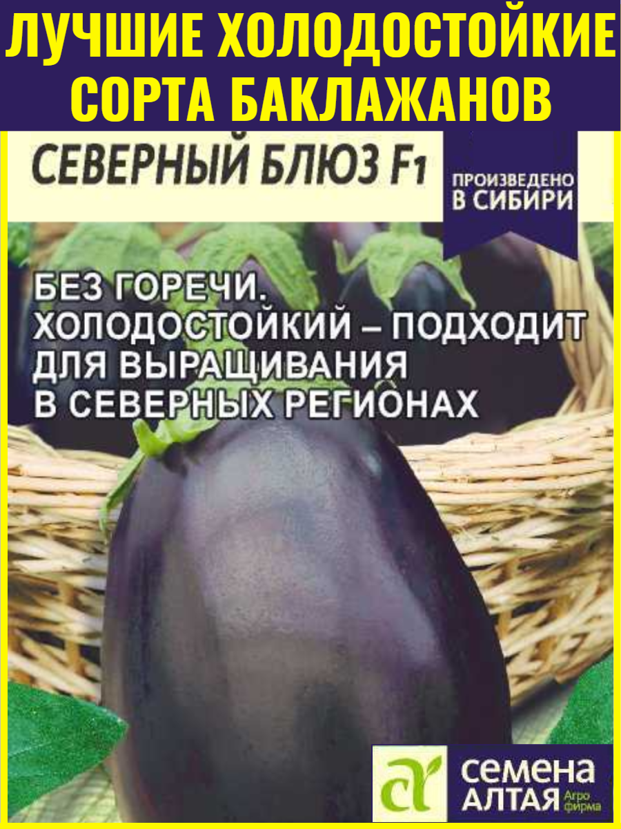 Семена баклажан Северный блюз F1 -10 шт. Холодостойкий сорт, великолепен в мариновании