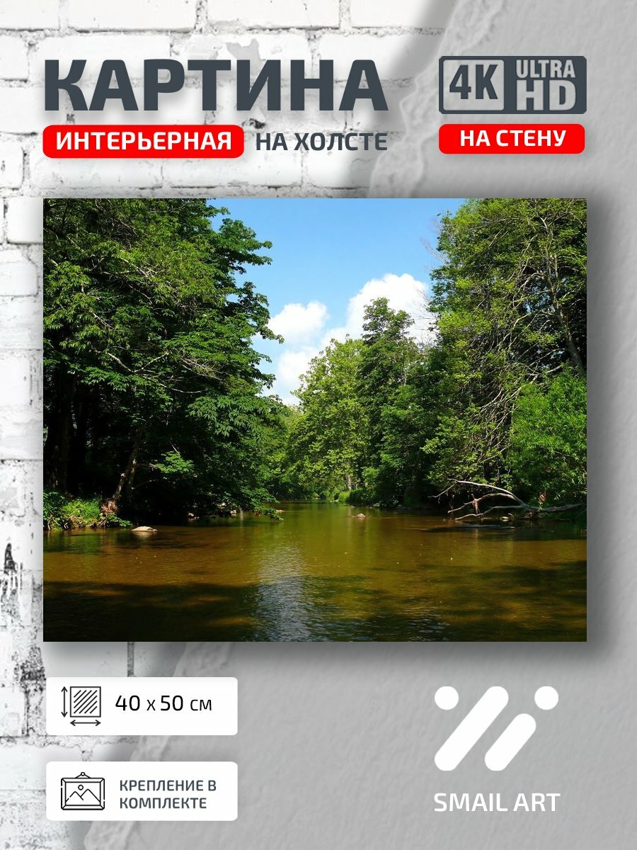 Картина на холсте интерьерная 40 на 50 на стену Реки Landscape для спальни пейзаж интерьер