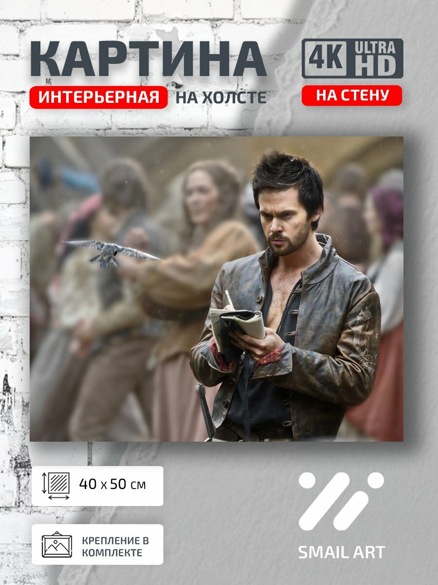 Картина на холсте интерьерная 40 на 50 на стену Райли Mood для офиса атмосфера интерьер