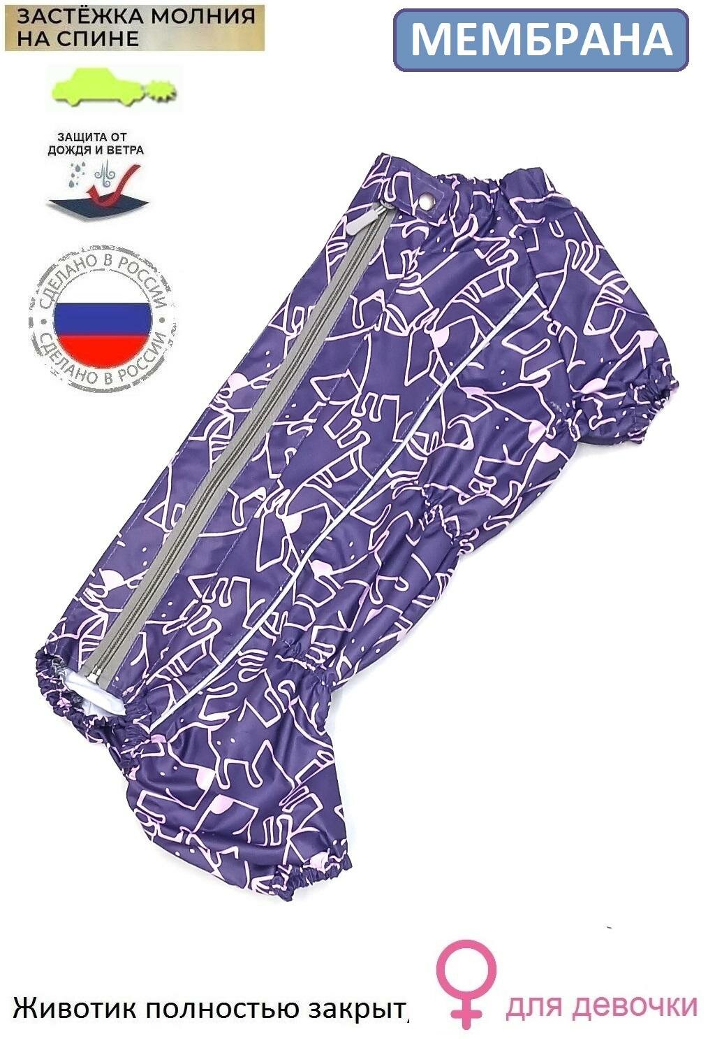 Комбинезон-дождевик для такс на грязь. Девочка (45см девочка)