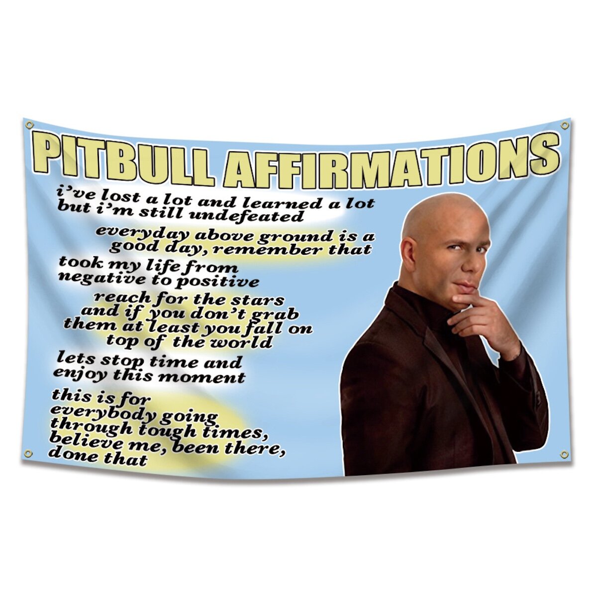 Флаговое искусство Pitbulls Affirmations Тапестри Аниме Флаг настенное украшение для спальни и гостиной 90x150 см