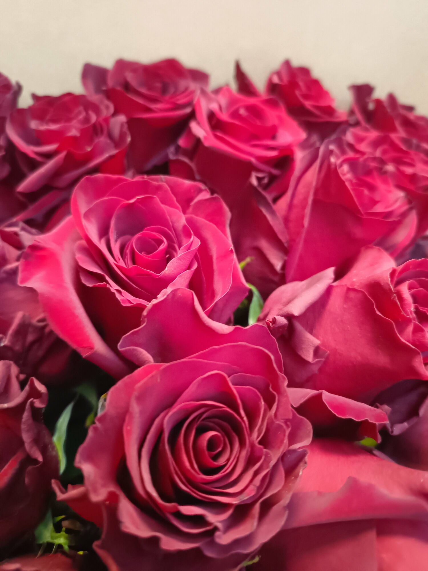 Букет из 25 Красных роз под атласную ленту "Руслан и Людмила"