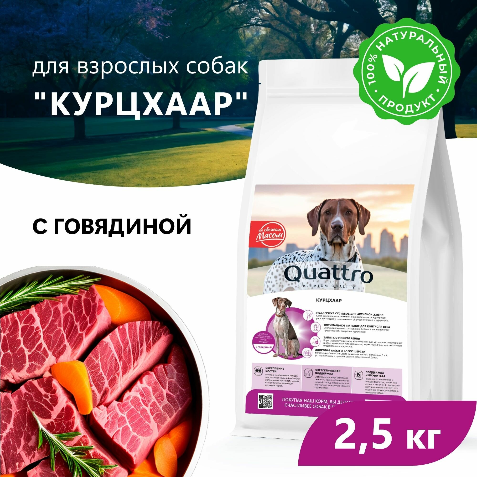 Quattro корм для взрослых собак породы Курцхаар, с говядиной 2,5 кг
