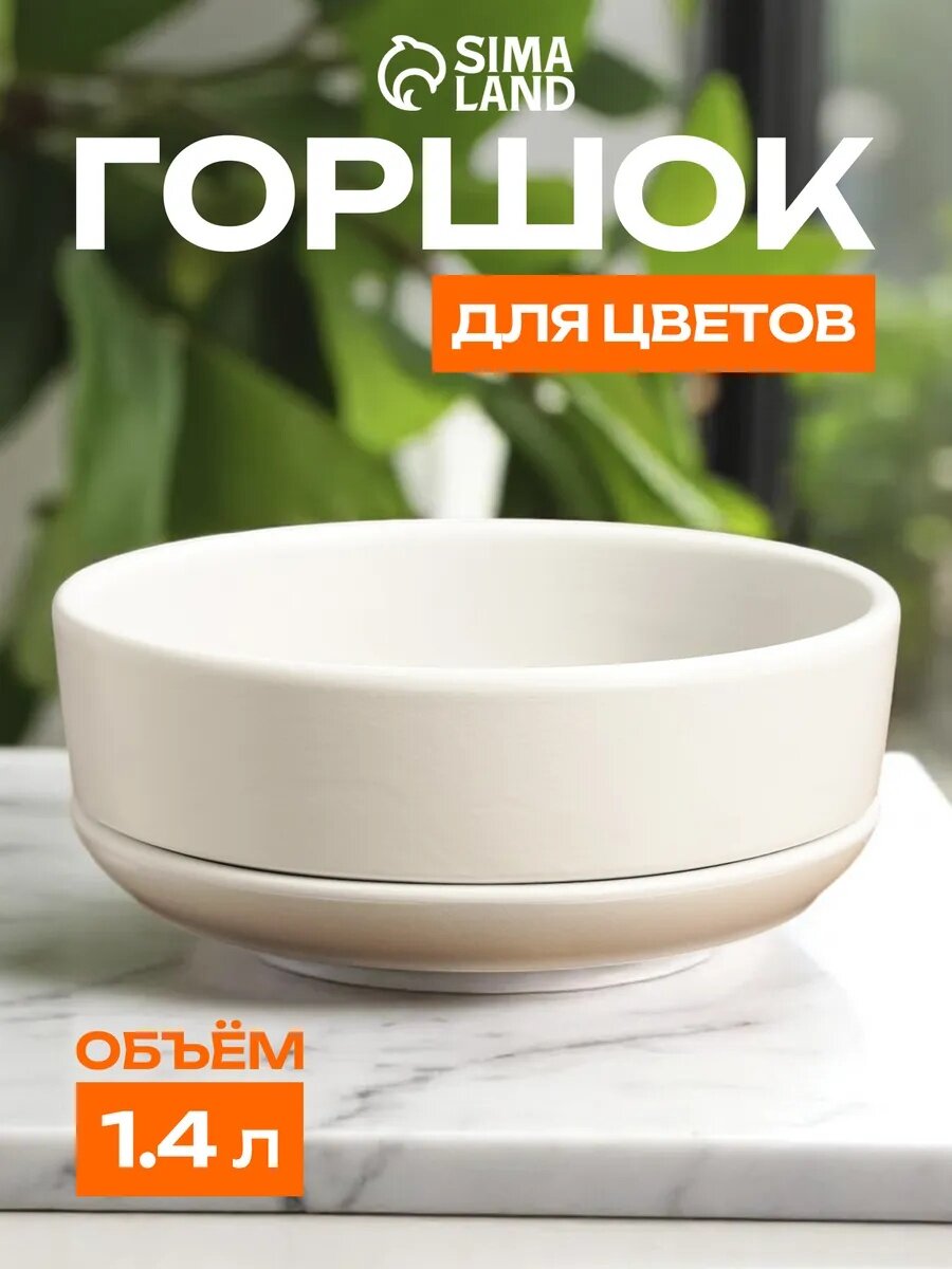 Горшок - бонсайница «Огма» керамический, для кактусов и суккулентов, 1.4 л, 18×6.5 см, с поддоном, белый